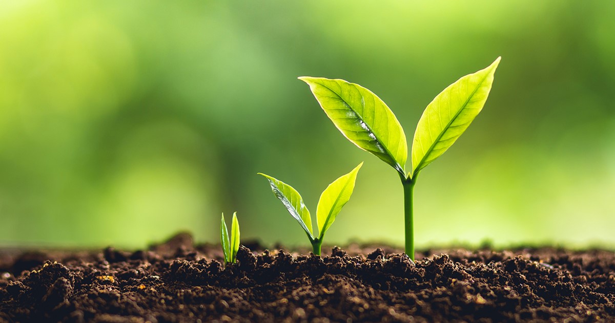 Predicted scale score gain | A new feature to the ACER Data Explorer ...