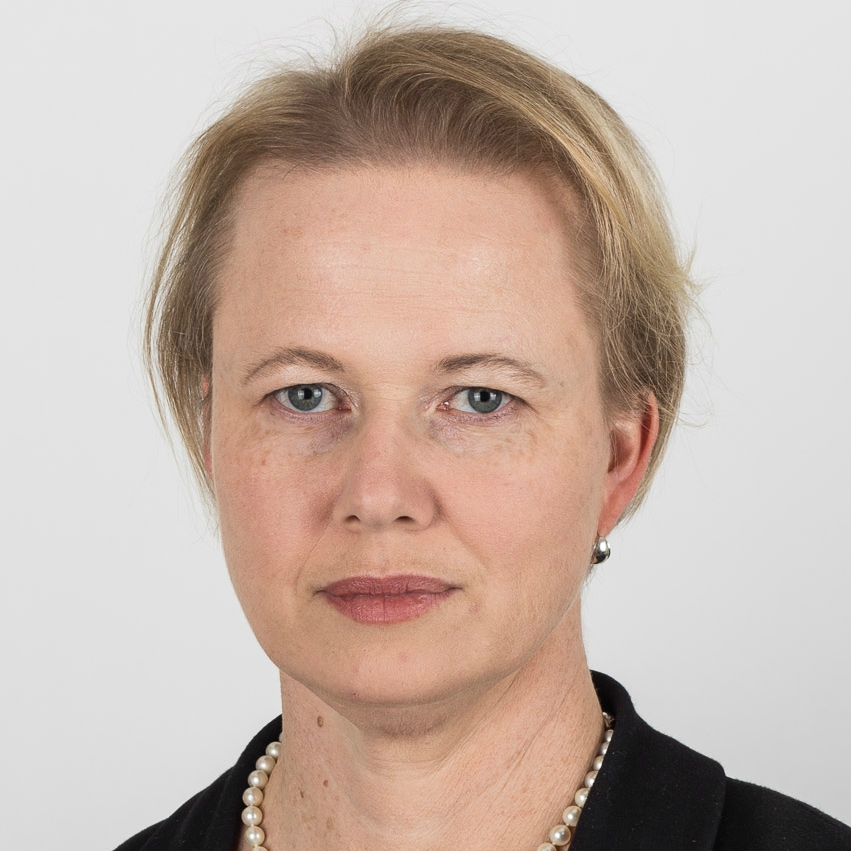 Curriculum audit informs development of a regional assessment framework ...